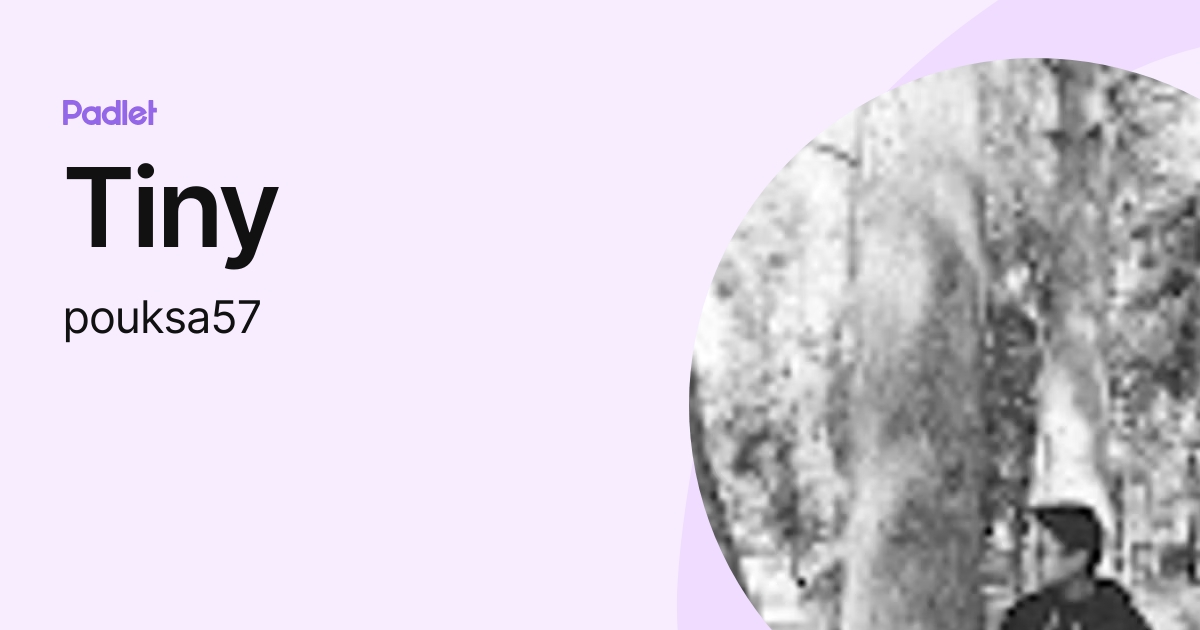 Tiny (pouksa57) profile | Padlet