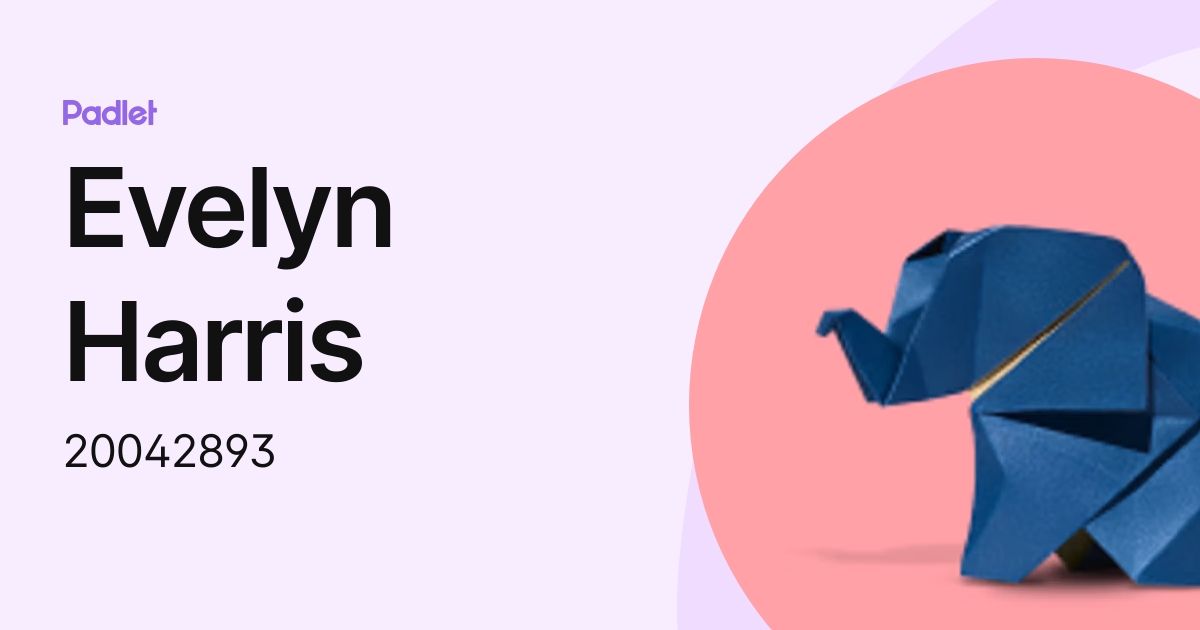 Evelyn Harris (20042893) profile | Padlet