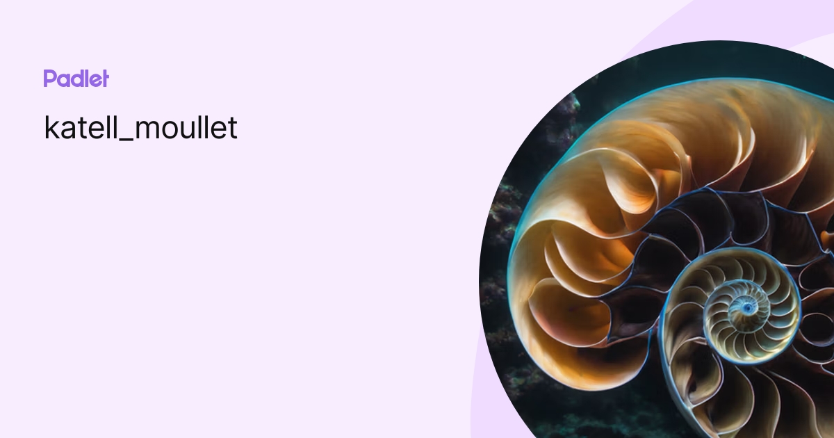 katell_moullet profile | Padlet