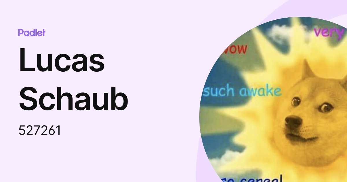 Lucas Schaub (527261) profile | Padlet