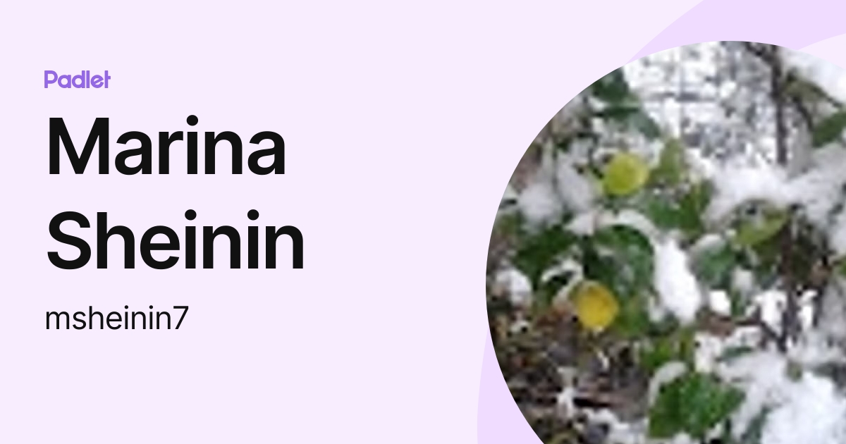 Marina Sheinin (msheinin7) profile | Padlet