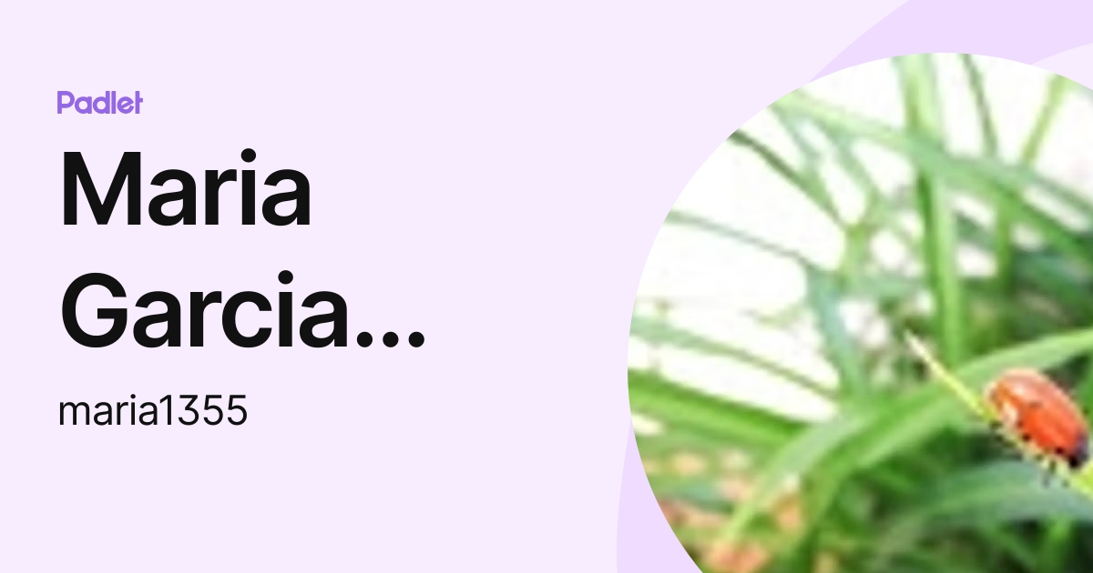 Maria Garcia Recio (maria1355) profile | Padlet