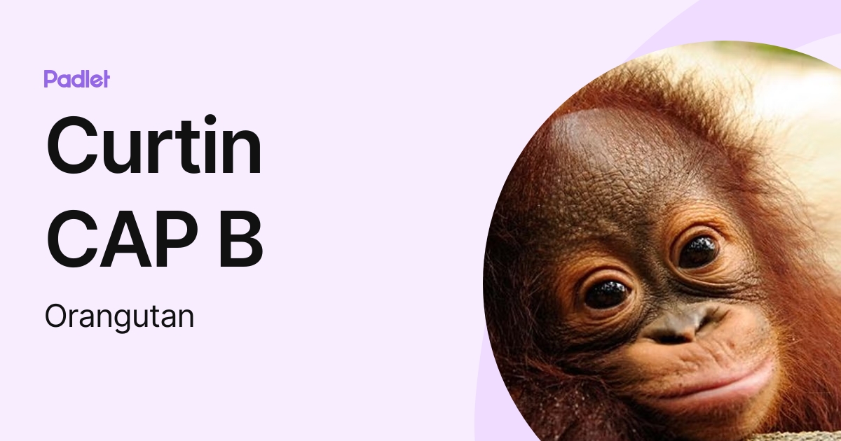 Curtin CAP B (Orangutan) profile | Padlet