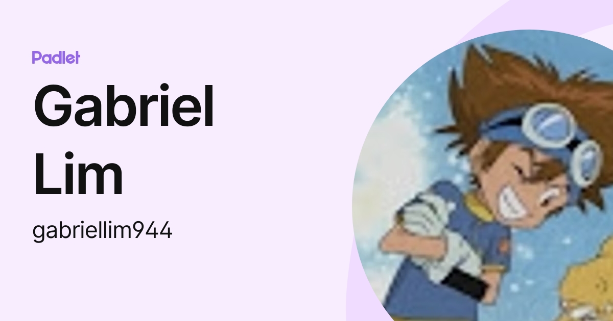 Gabriel Lim (gabriellim944) profile | Padlet