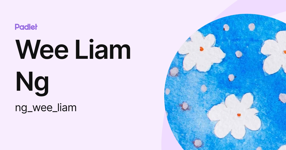 Wee Liam Ng (ng_wee_liam) profile | Padlet