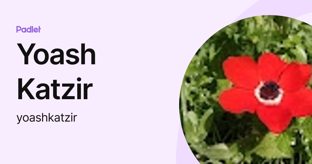 Yoash Katzir (yoashkatzir) profile | Padlet