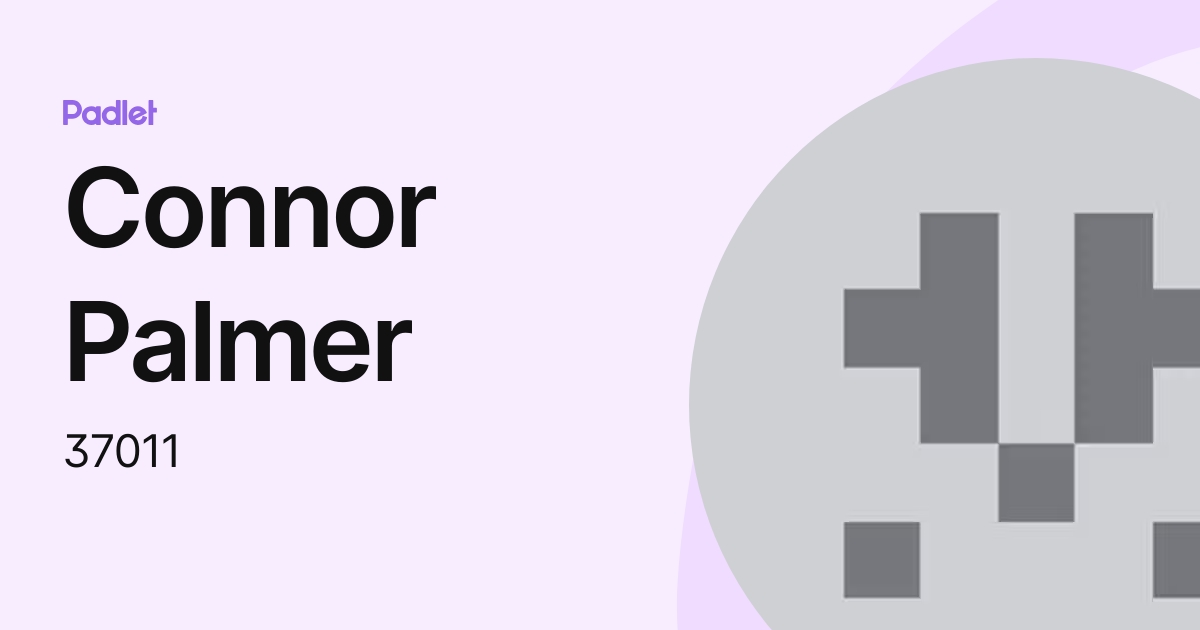 Connor Palmer (37011) profile | Padlet