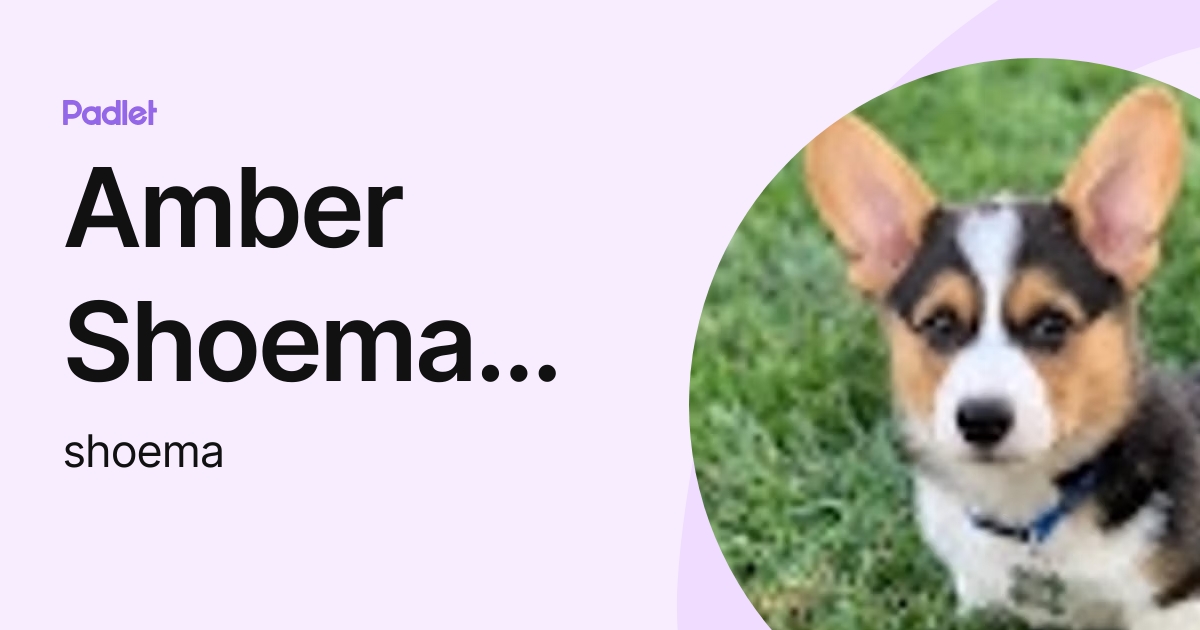 Amber Shoemaker [Canyon Springs HS] (shoema) profile | Padlet