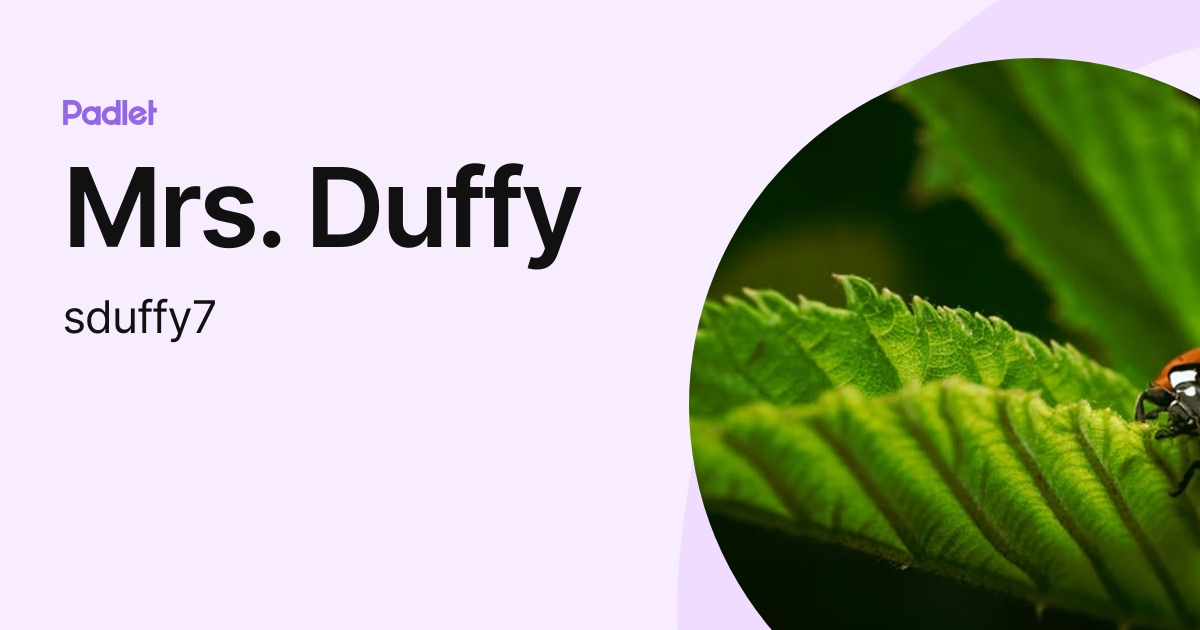 Mrs. Duffy (sduffy7) profile | Padlet