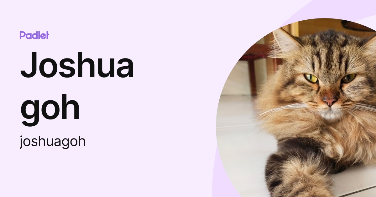 Joshua goh (joshuagoh) profile | Padlet