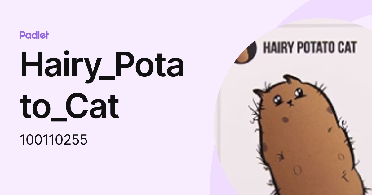Hairy_Potato_Cat (100110255) profile | Padlet