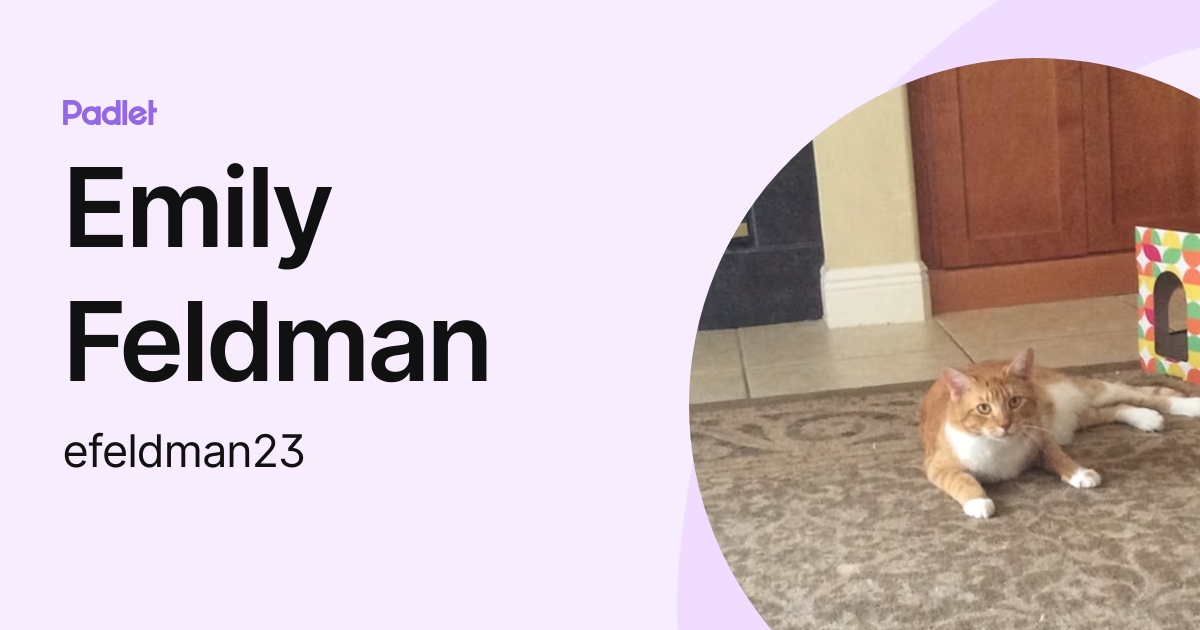 Emily Feldman (efeldman23) profile | Padlet