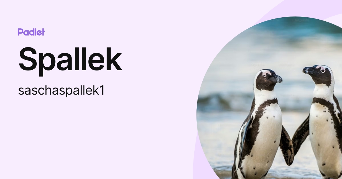 Spallek (saschaspallek1) profile | Padlet