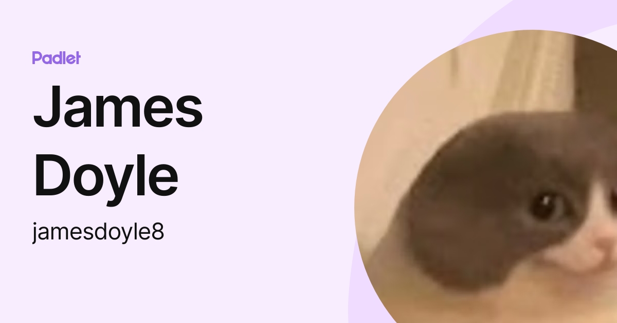 James Doyle (jamesdoyle8) profile | Padlet