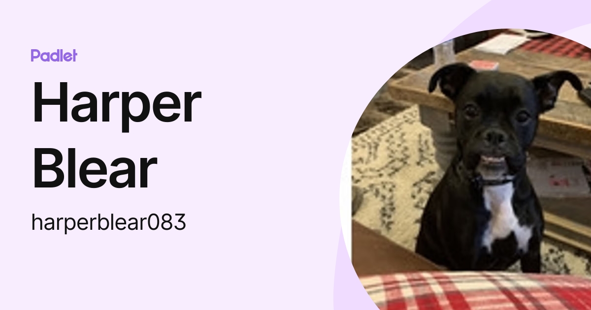 Harper Blear (harperblear083) profile | Padlet