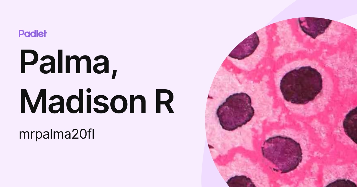 Palma, Madison R (mrpalma20fl) profile | Padlet