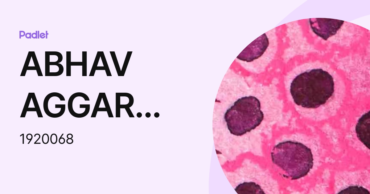 ABHAV AGGARWAL (1920068) profile | Padlet