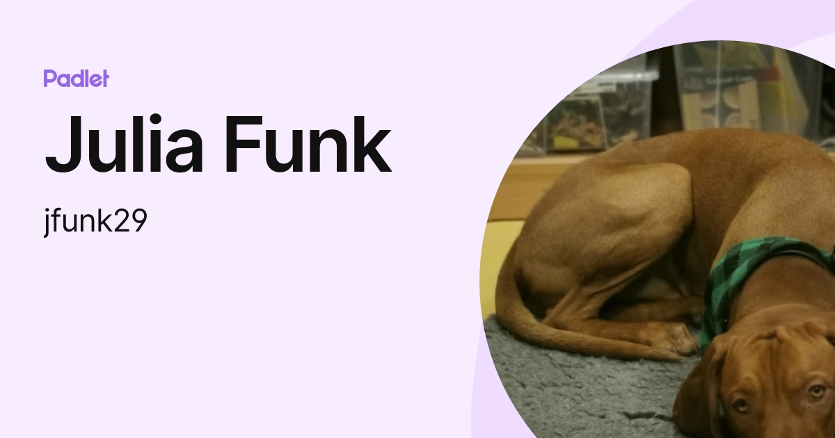 Julia Funk (jfunk29) profile | Padlet