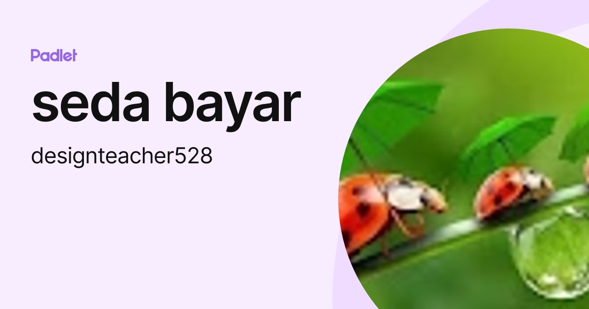 seda bayar (designteacher528) profile | Padlet
