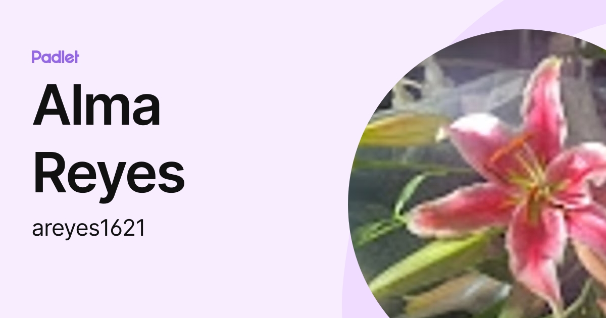 Alma Reyes (areyes1621) profile | Padlet