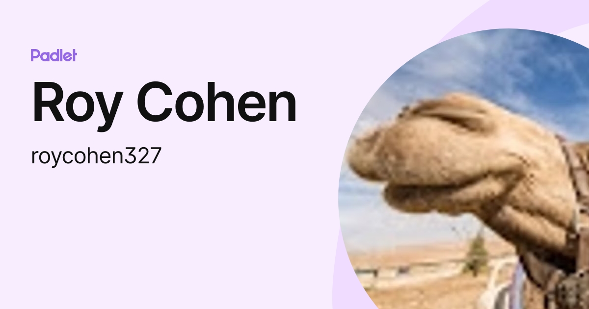 Roy Cohen (roycohen327) profile | Padlet