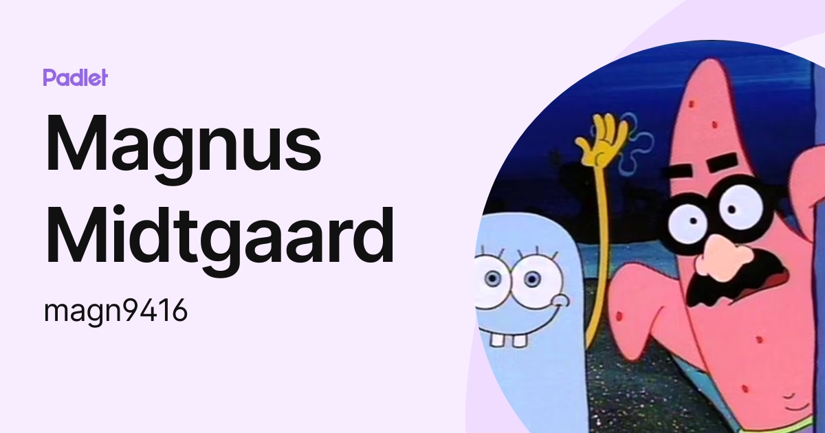 Magnus Midtgaard (magn9416) profile | Padlet
