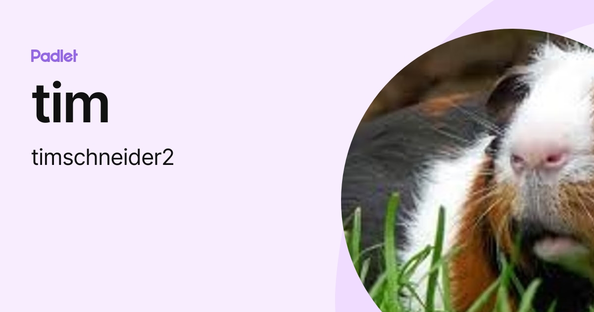 tim (timschneider2) profile | Padlet
