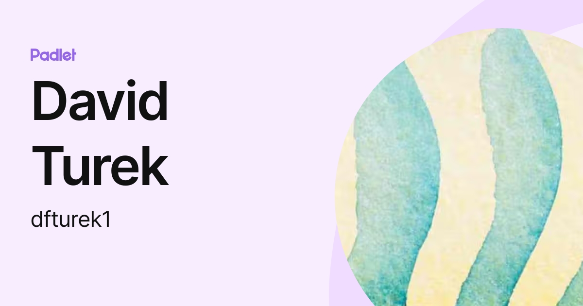 David Turek (dfturek1) profile | Padlet