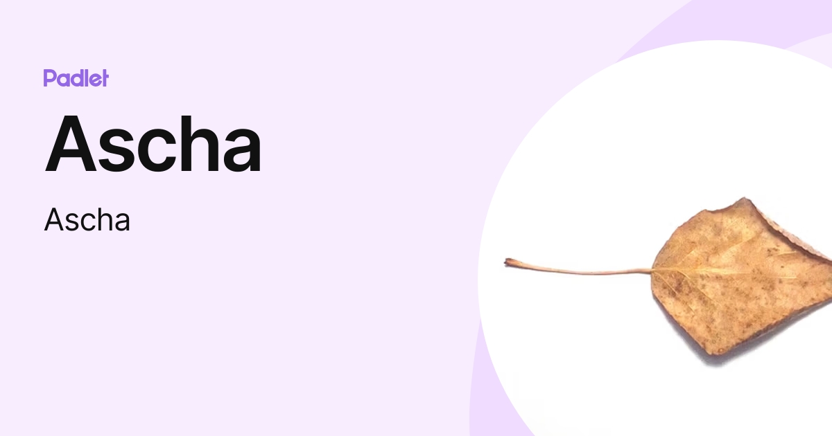 Ascha (Ascha) profile | Padlet