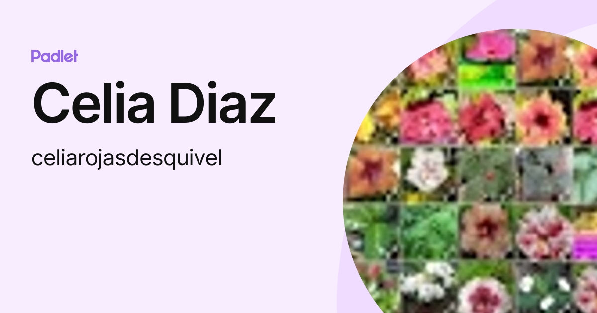 Celia Diaz (celiarojasdesquivel) profile | Padlet