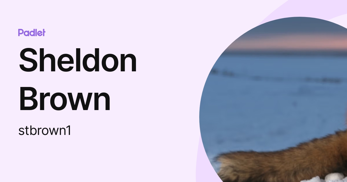Sheldon Brown (stbrown1) profile | Padlet