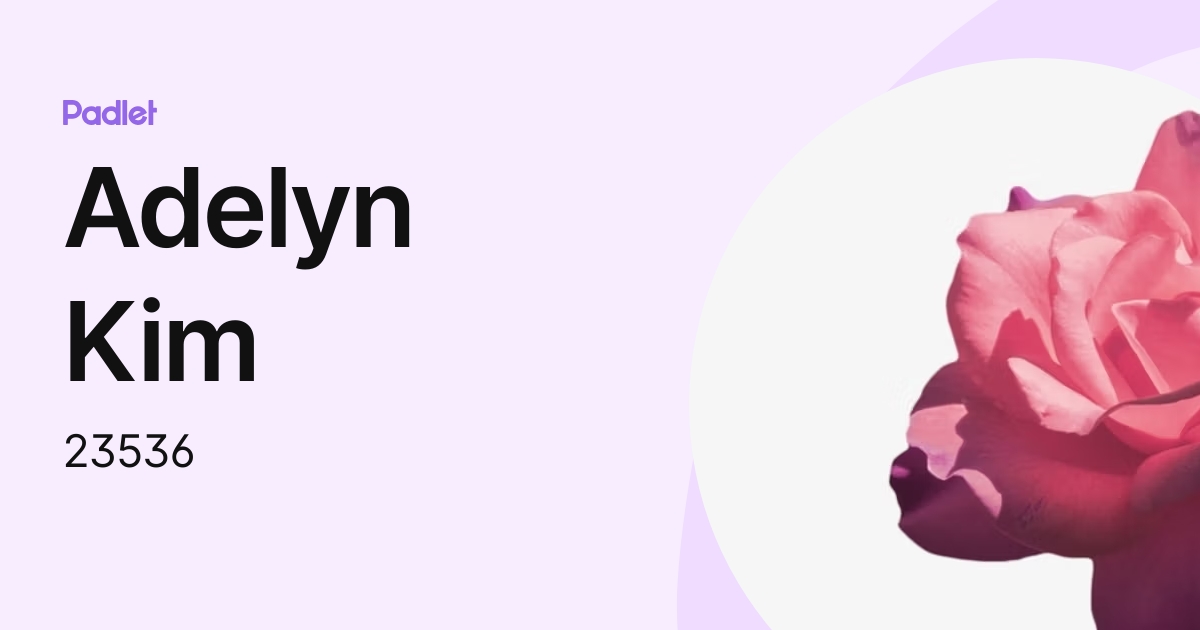 Adelyn Kim (23536) profile | Padlet