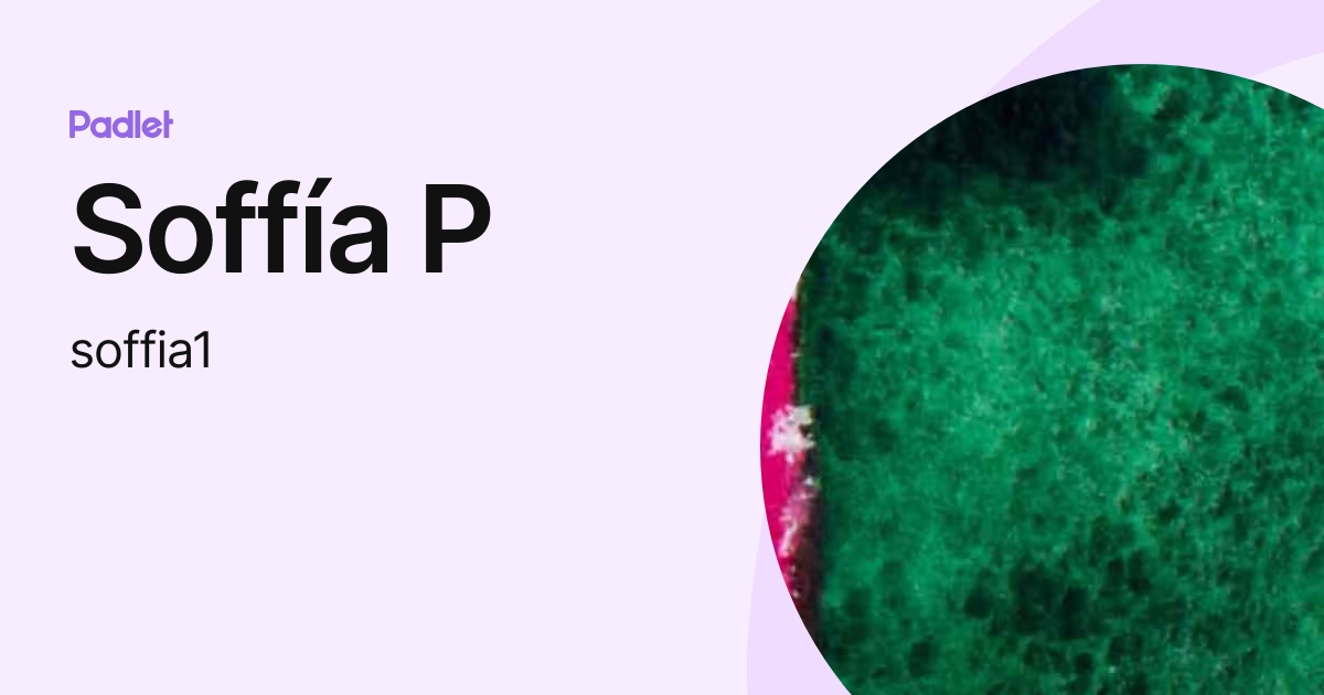 Soffía P (soffia1) profile | Padlet