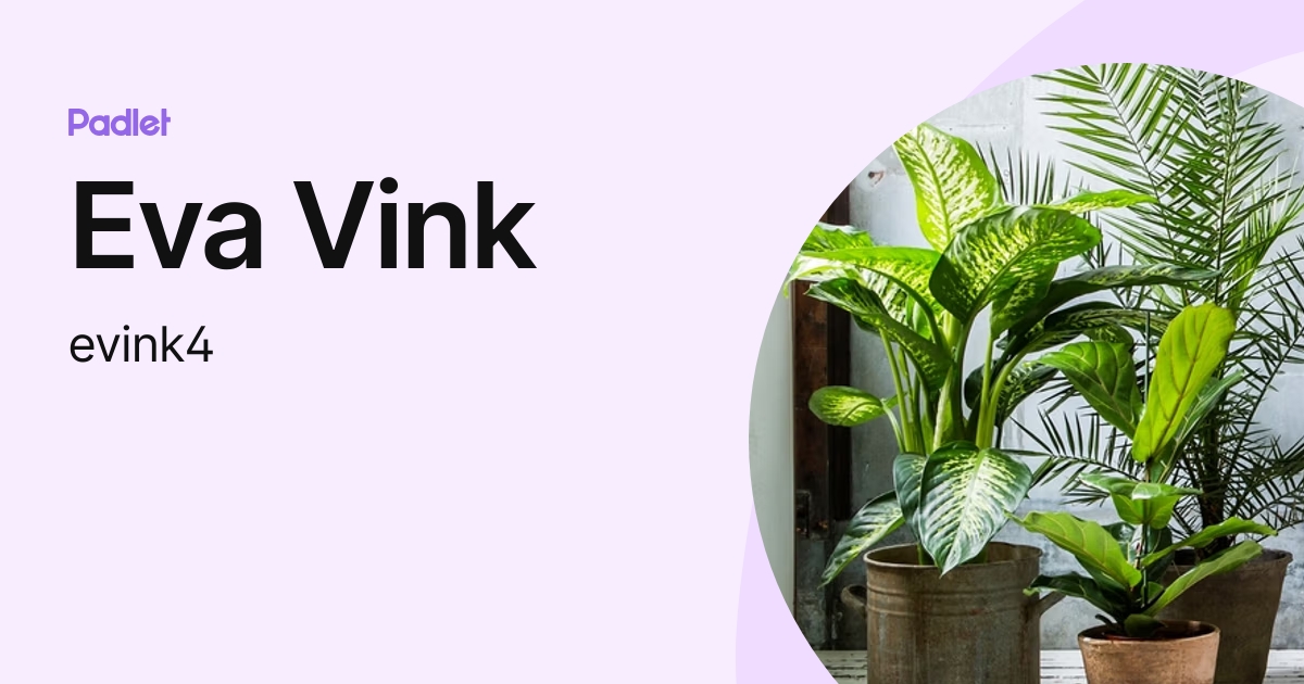 Eva Vink (evink4) profile | Padlet